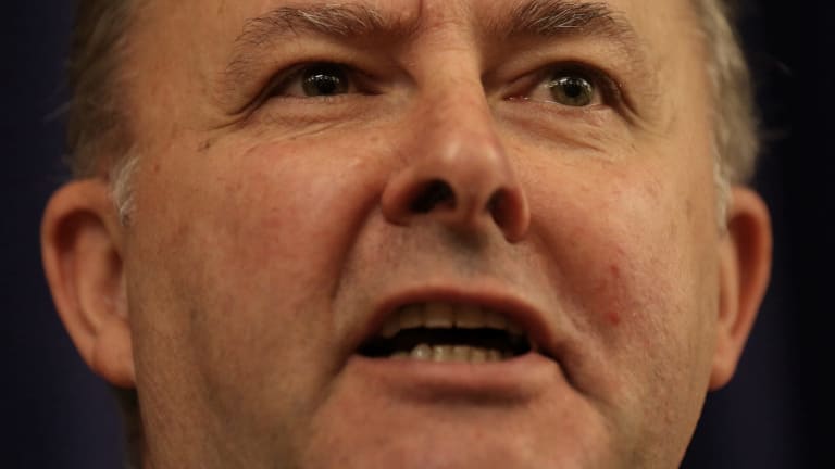 Introducing the Anthony Albanese ale
