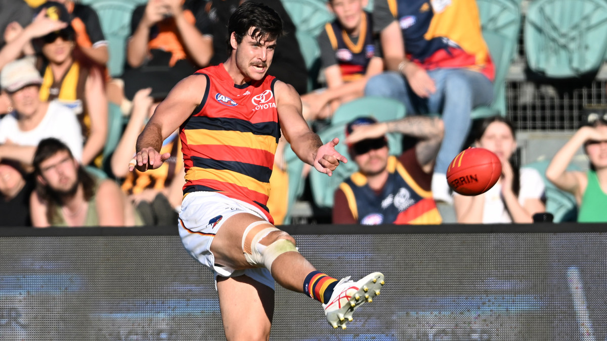 AFL news 2023: Darcy Fogarty game-winning goal vs Hawthorn video ...