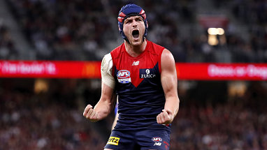 AFL retirements 2024: Every AFL player who will retire this year ...