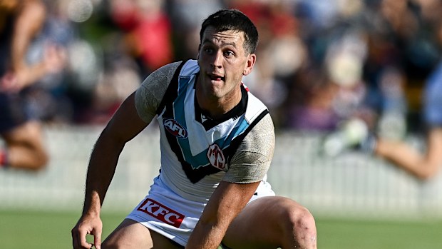 AFL news 2025: Hawthorn linked with midfield stars Christian Petracca ...