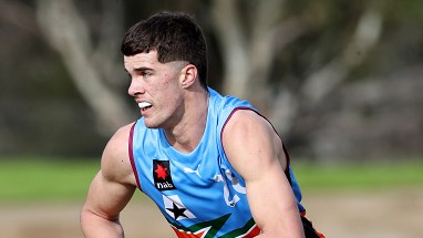 Tasmania Devils Players, Full List In Pictures: Matt Rowell, Colby ...