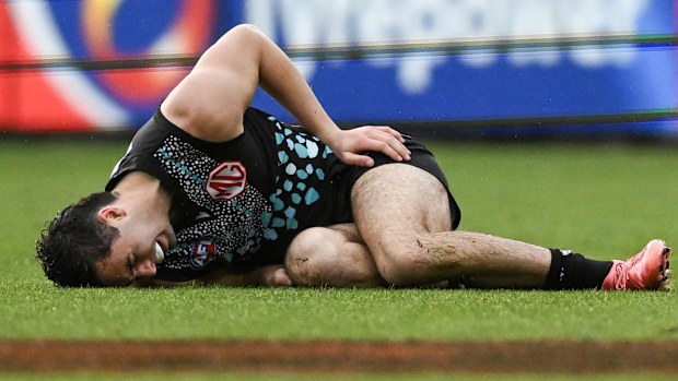 AFL news 2025 | Patrick Dangerfield, Jason Horne-Francis, Lachie Jones ...