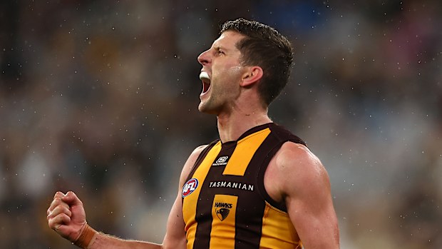 AFL news 2025: Hawthorn Hawks forward Luke Breust announces retirement ...