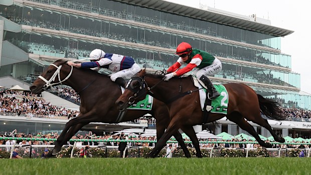 Melbourne Cup 2025: Race times, horses list, tips, field, odds, date ...