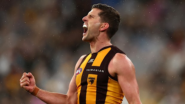 AFL news 2025: VFL finals, Hawthorn Hawks, retiring Luke Breust suffers ...