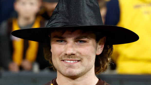 AFL Finals Week 1 2024 LIVE scores: Western Bulldogs vs Hawthorn ...