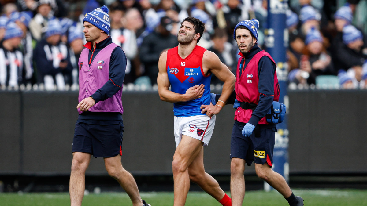 AFL News 2024: Melbourne vs Collingwood, Christian Petracca injury ...