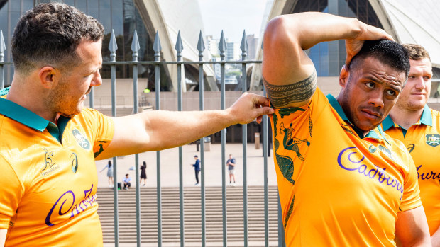 Rugby Australia news 2024 | Wallabies jersey for Lions series, Dylan ...