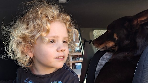 Gus Lamont: SA Police allege two family members 'not cooperating' with ...