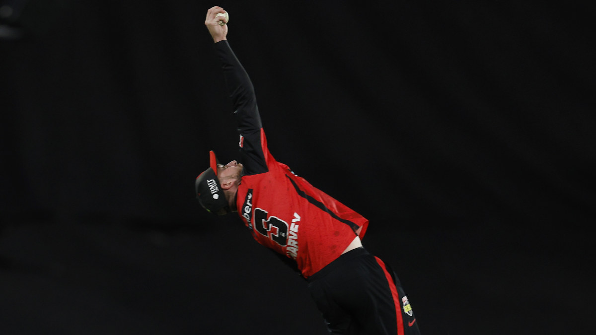 Cricket News 2024: Mackenzie Harvey catch of BBL season, Melbourne ...