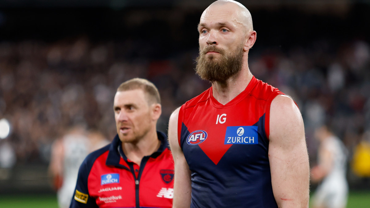 AFL News 2024: Former Mlebourne player David Schwarz blasts Demons ...