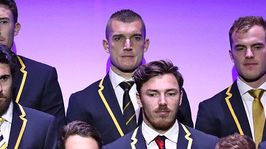 Dusty Martin retires, career in pictures: Retirement, Richmond Tigers ...