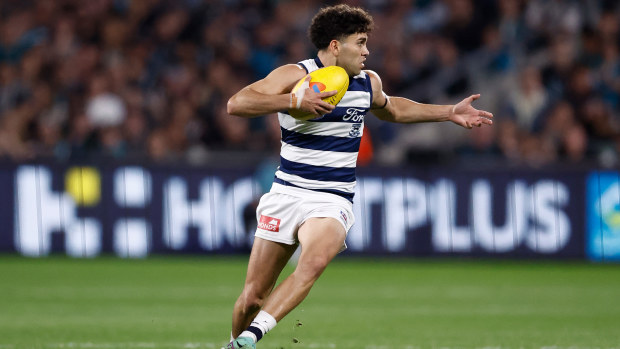 AFL news 2024: Geelong Cats, Tyson Stengle preliminary final ...