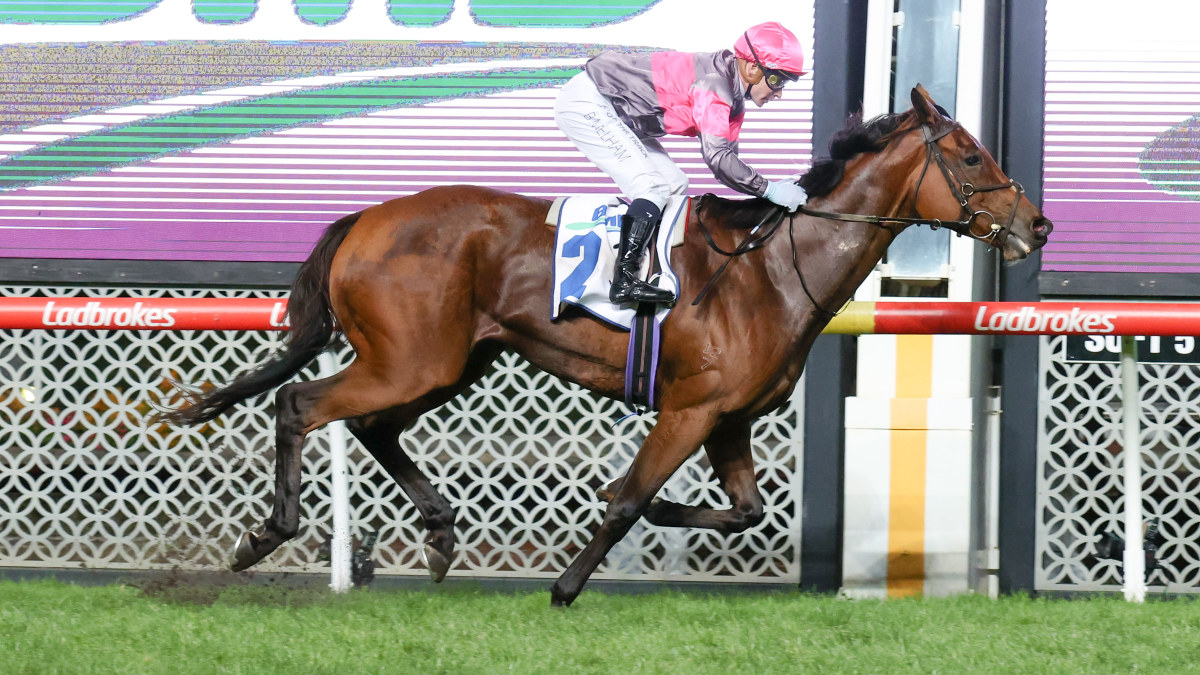 Horse racing news 2024, Victoria trainers baffled over breast cancer ...