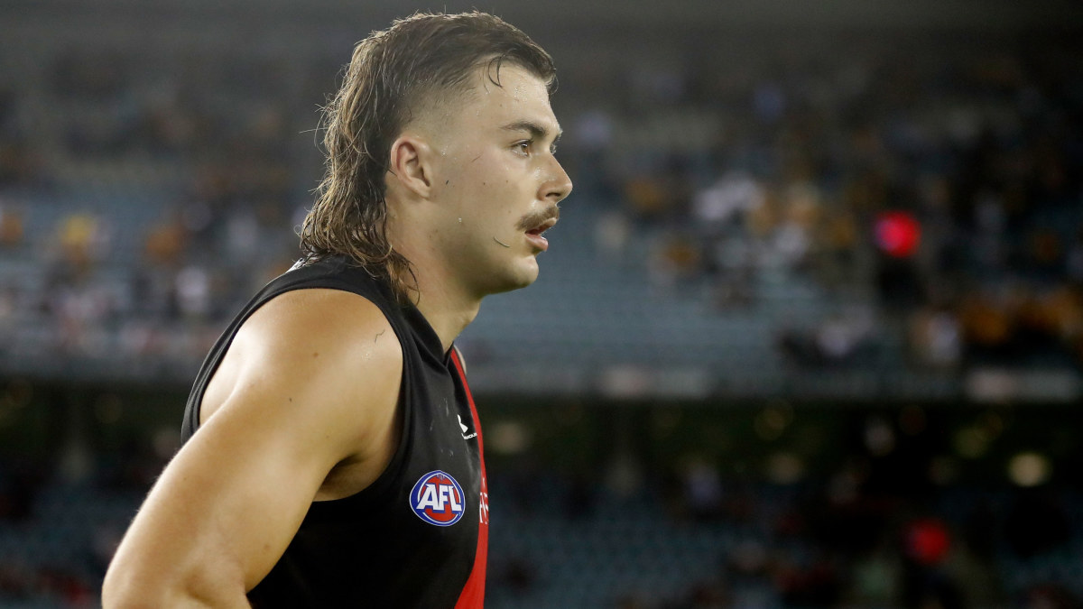 AFL News 2024: Sam Draper comments Western Bulldogs trades, Luke ...