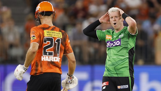 Cricket, BBL news 2026: David Warner, Peter Siddle re-sign with Sydney ...