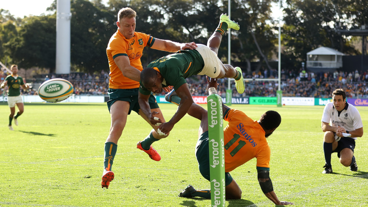 Rugby Championship 2024 news: Wallabies vs Springboks exclusive ...