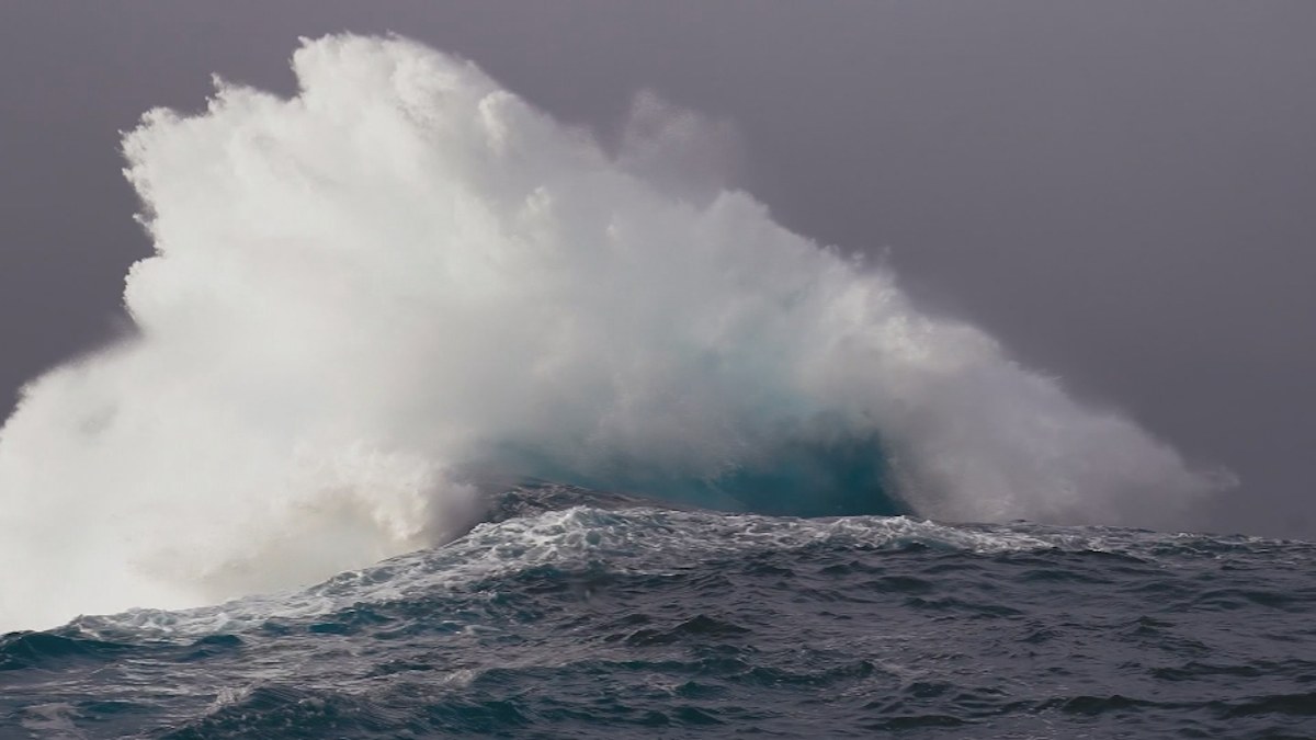 Perth: Unique ocean spectacle off Aussie coast goes viral online | Nine ...