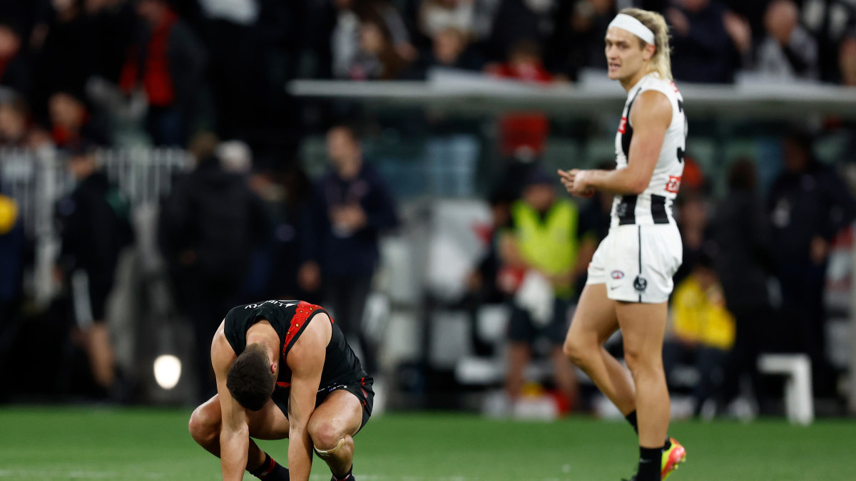 AFL news 2024: Christian Petracca, Patrick Dangerfield reaction to ...