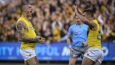 Dusty Martin retires, career in pictures: Retirement, Richmond Tigers ...