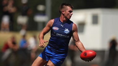 Tasmania Devils Players, Full List In Pictures: Matt Rowell, Colby ...