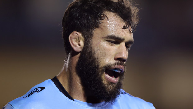 NRL news 2024 | Toby Rudolf interview, dropped by Sharks, giving up ...