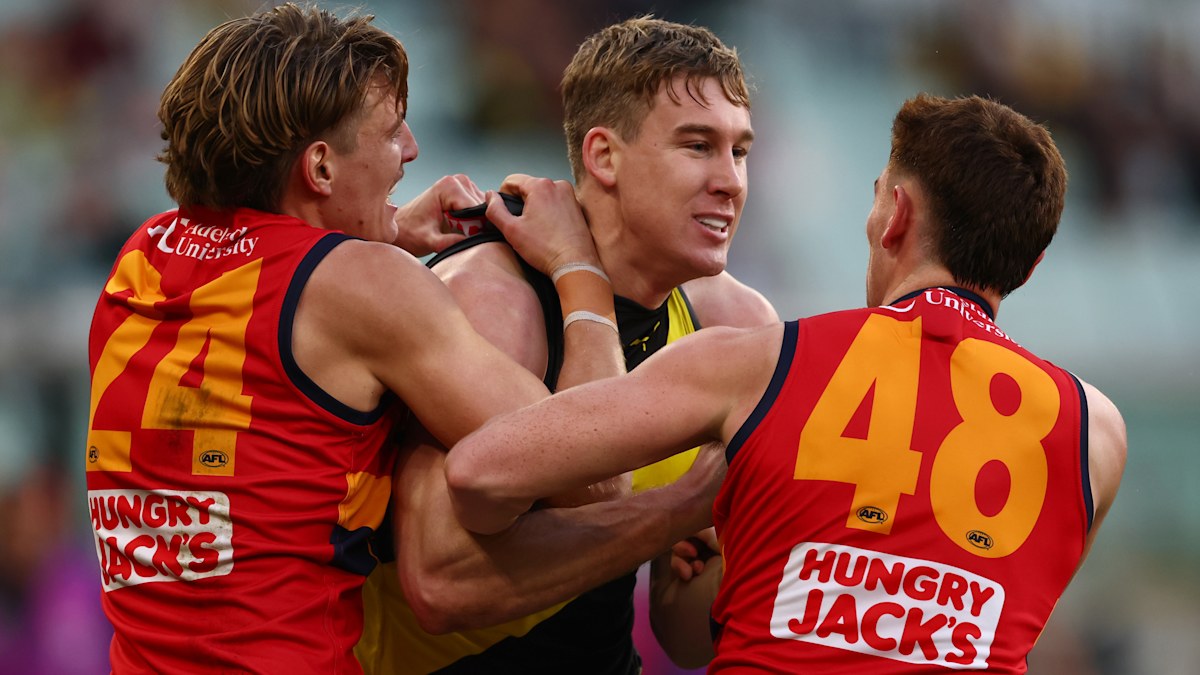 AFL News 2025: Matthew Richardson adamant Tom Lynch still vital to ...