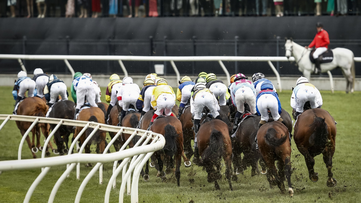 Melbourne Cup 2023 barrier draw: Results, full field; Vauban owner 'delighted' as cup favourite ...