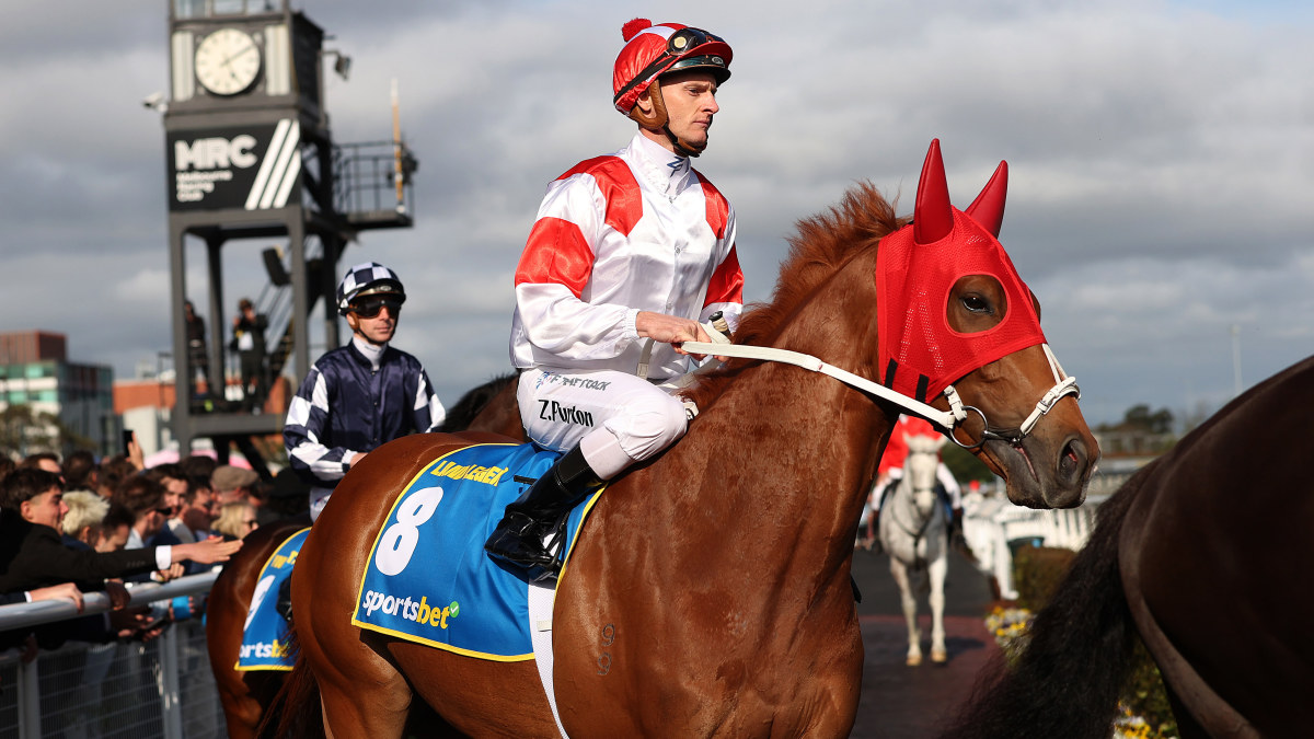 Melbourne Cup horses 2024 | Grace Ramage form guide, preview; Land ...