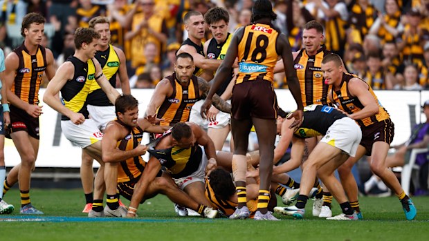 AFL News 2025: Tim Taranto, James Sicily ignite all-in melee between ...