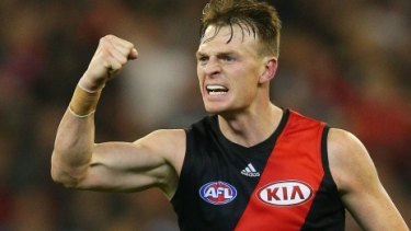 AFL 2016: Paul Chapman backs Brendon Goddard as Essendon skipper