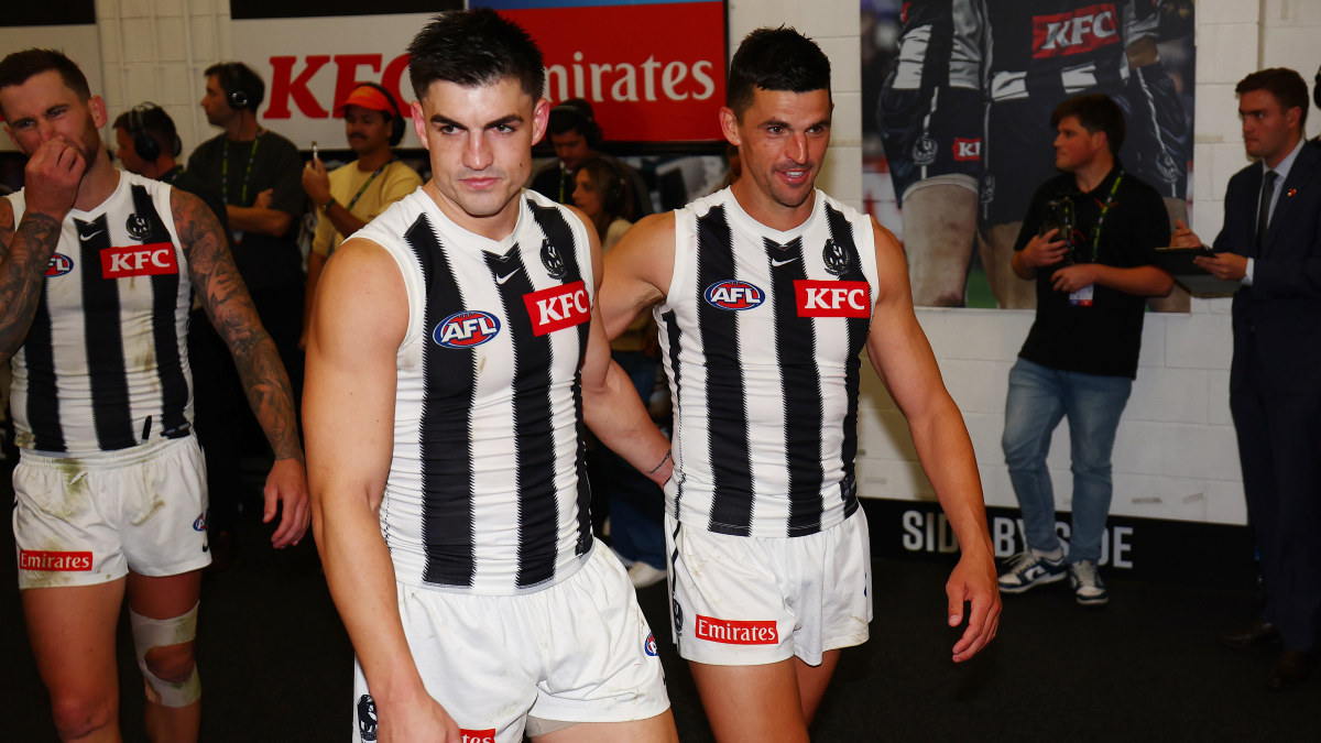 AFL News 2025: North Melbourne respond to Brayden Maynard links, Todd Viney interview