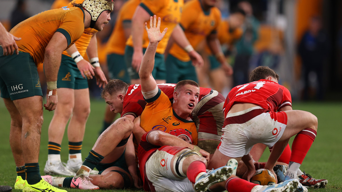 Wallabies rugby news 2024: Australia vs Wales, coach Joe Schmidt on ...