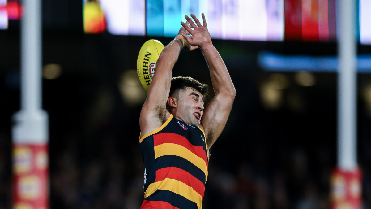 AFL News 2024: Josh Rachele, Adelaide Crows loss to Essendon, marking ...