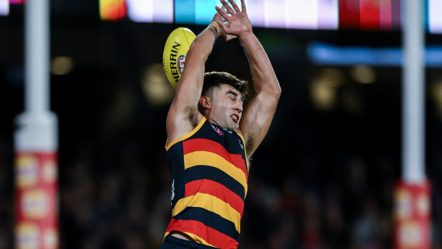 AFL News 2024: Josh Rachele, Adelaide Crows loss to Essendon, marking ...