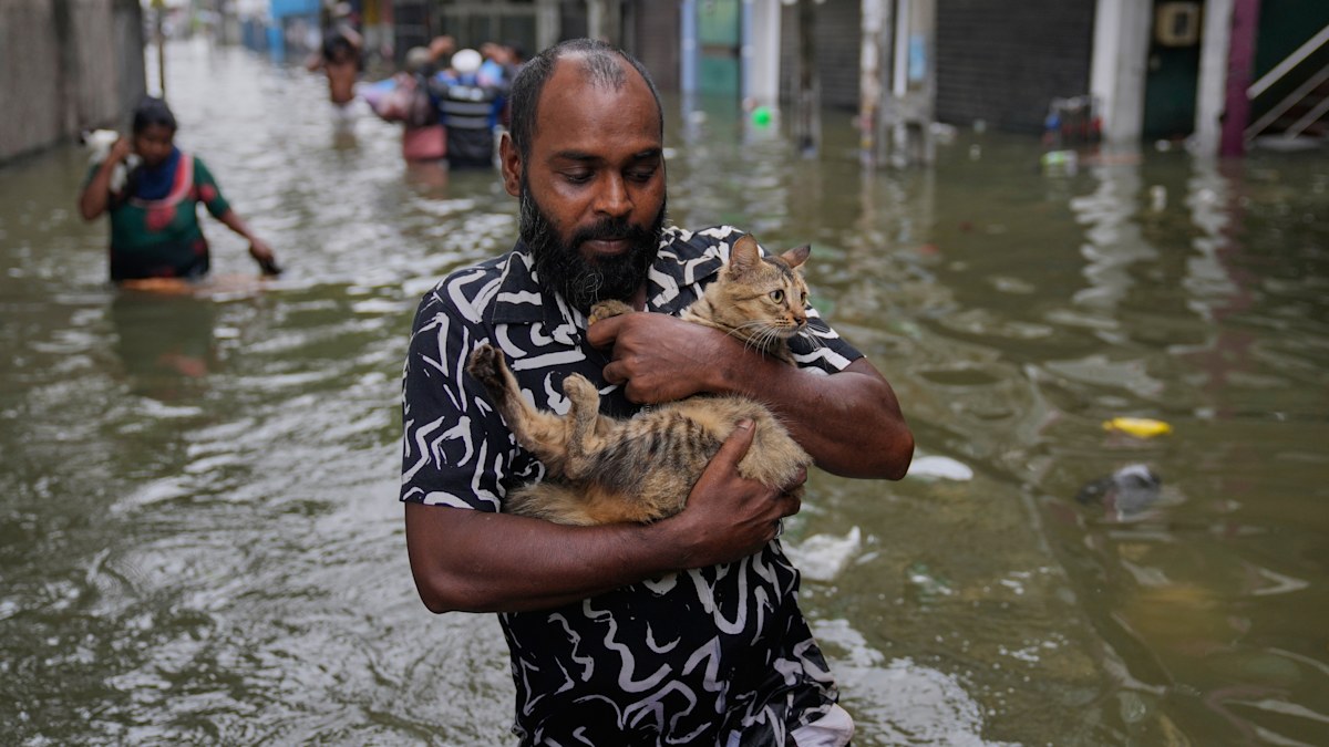 Cyclone Ditwah: Flooding and mudslides in Sri Lanka leave 132 dead, 176 ...