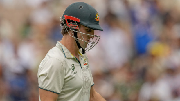 Cricket news 2024: Who is Beau Webster? The story behind Australia's ...