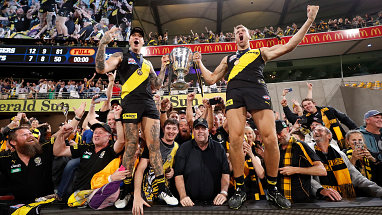 Dusty Martin retires, career in pictures: Retirement, Richmond Tigers ...