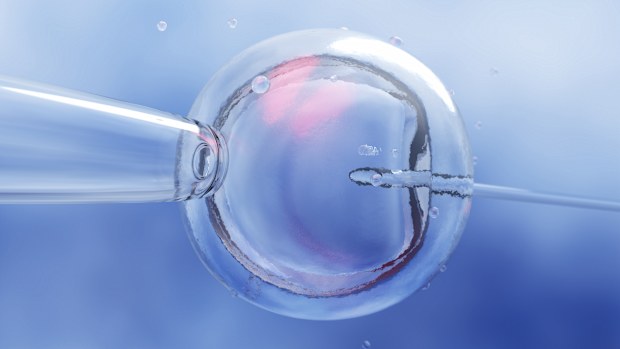 IVF rates for twins and triplets reach record low new report | Nine.com.au