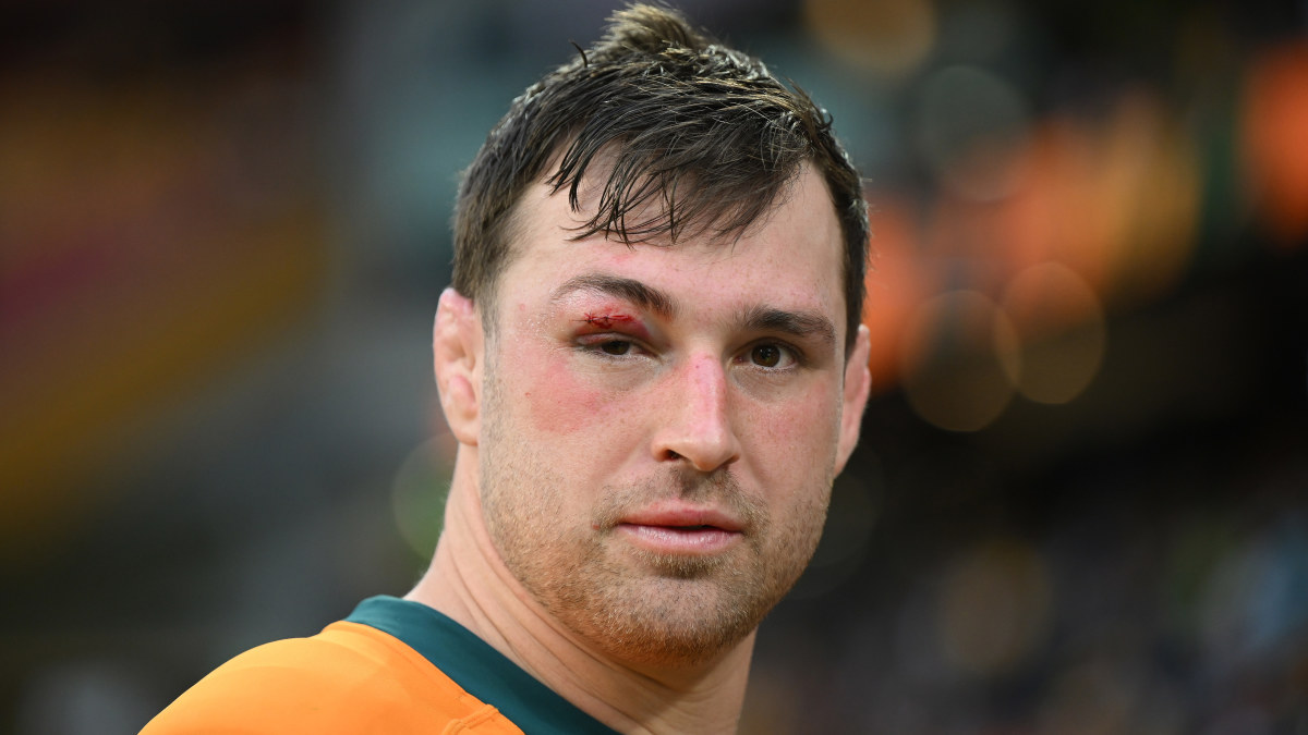 Rugby Australia news 2024: Springboks coach Jake White torches ...