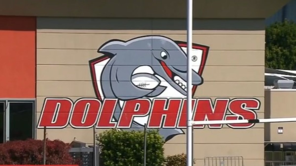 NRL: The Dolphins, Redcliffe, expansion team, name