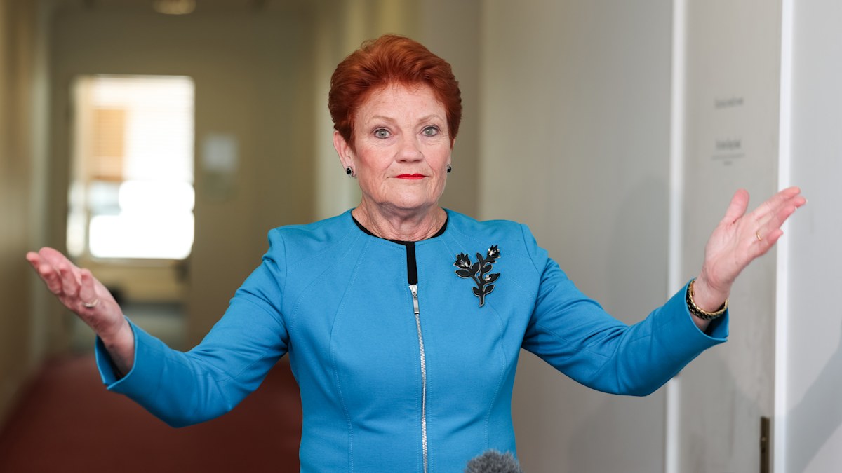 Federal politics poll: One Nation becomes Australia's most popular ...