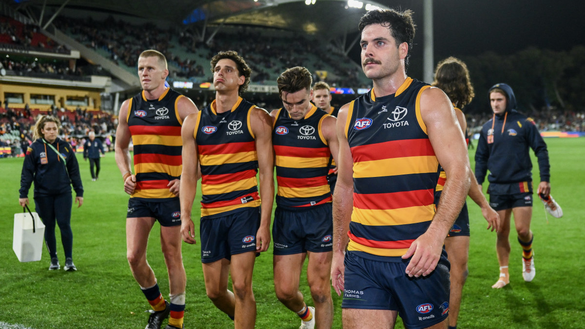AFL news 2024: Adelaide Crows forward Darcy Fogarty looks to skipper ...