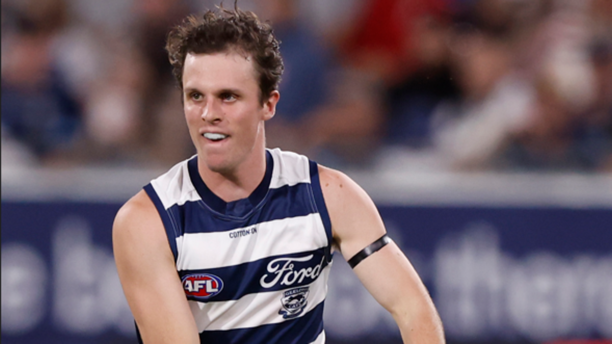 AFL News 2024: Geelong vs St Kilda, GMHBA Stadium, Joel Selwood, Ollie ...