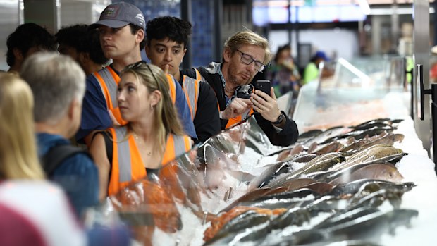 Sydney Fish Market opens: Crowds turned away as Sydney's $830 million ...