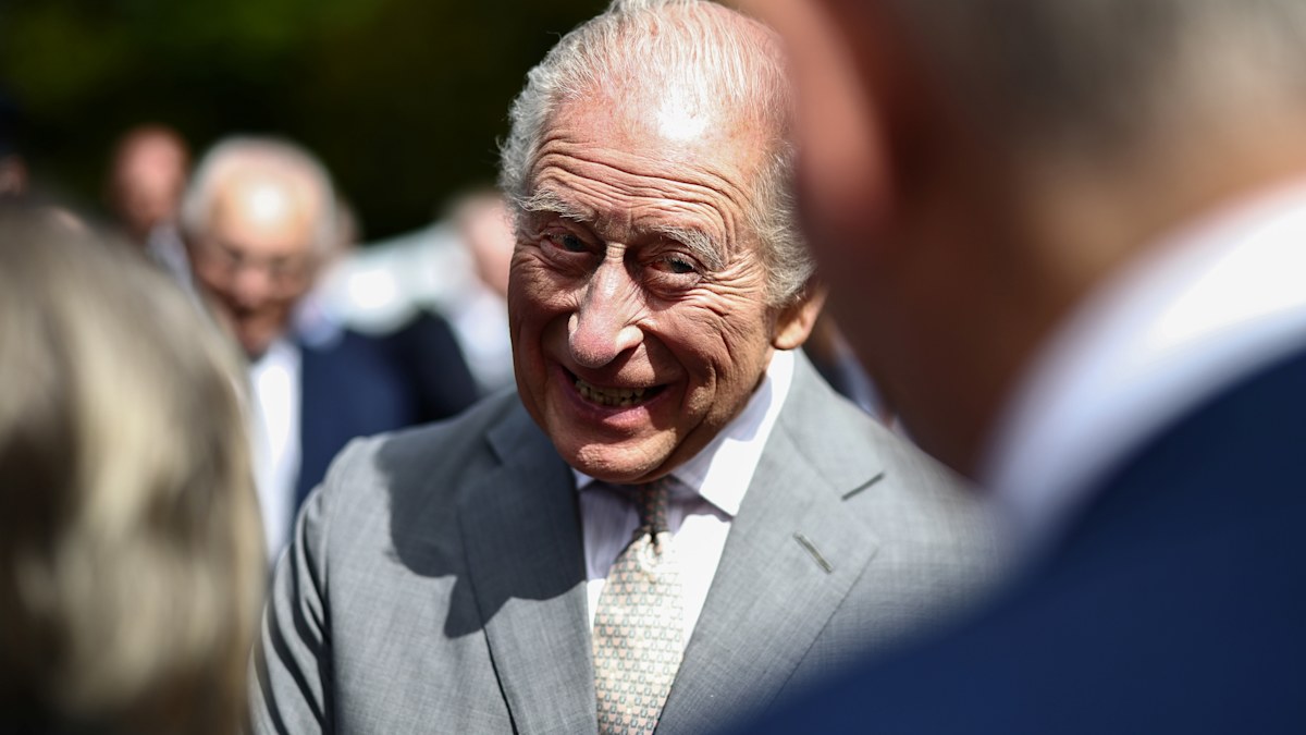 King Charles news: Seagull makes mess on monarch's jacket during visit ...