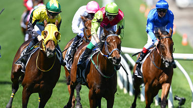 Melbourne Cup 2024 in pictures: Pop star Ronan Keating hugs Irish ...