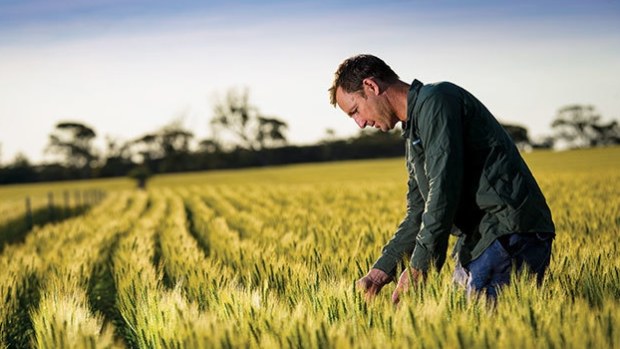 Drought delivers bumper profits for West Australian farmers
