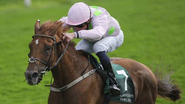 Melbourne Cup barrier draw 2024, field, full results: Favourite Buckaroo draws gate No.21 ...