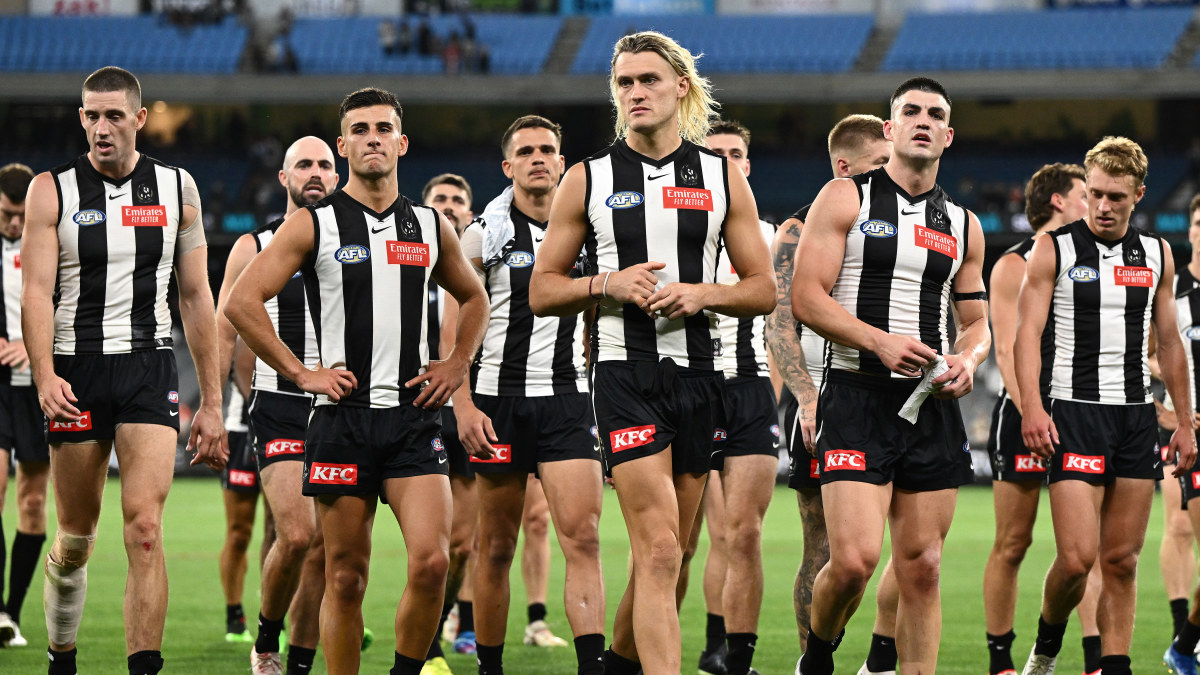 AFL News 2024: Kane Cornes comments Collingwood recruiting, premiership ...